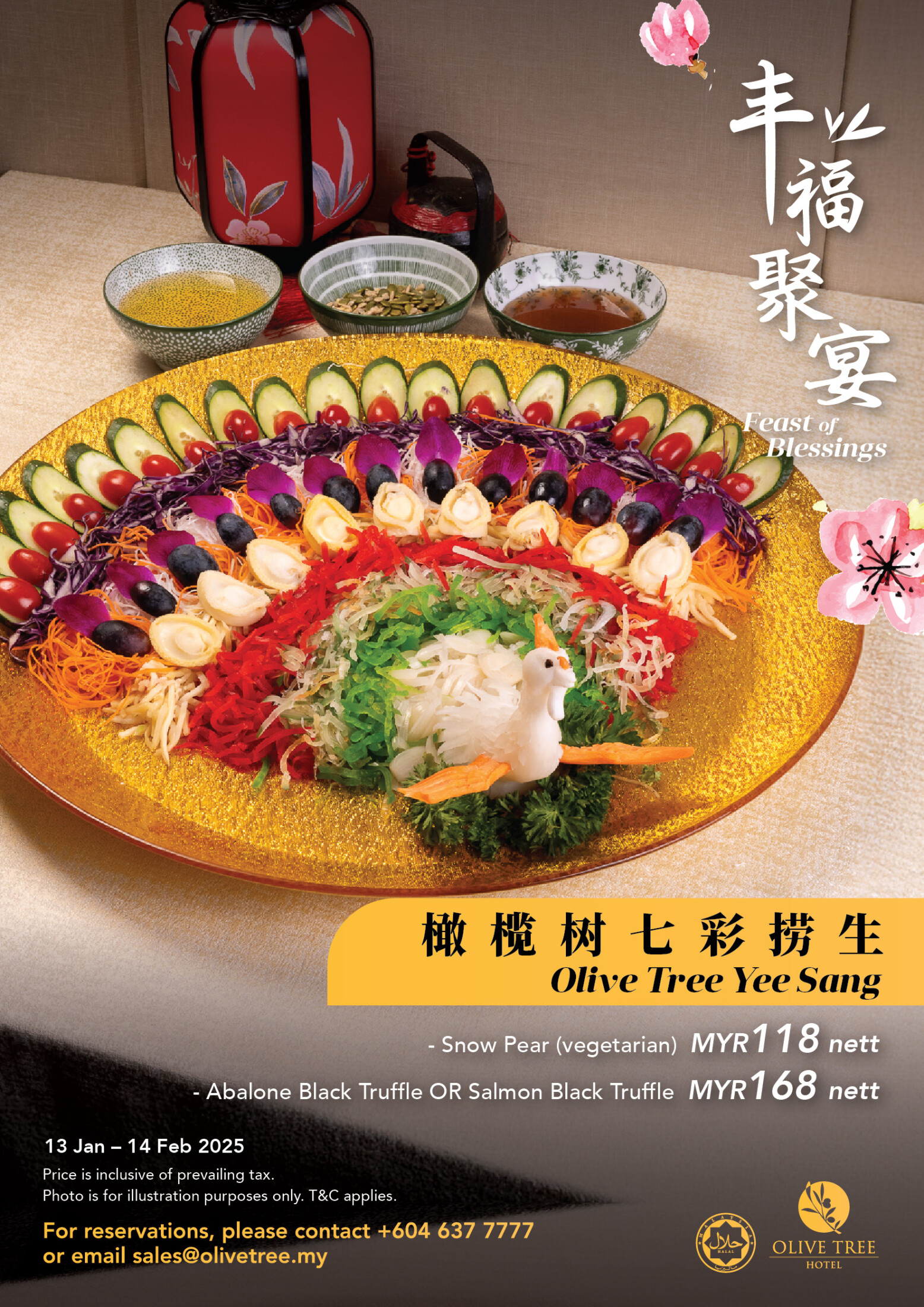 Special Offers - Olive Tree Hotel